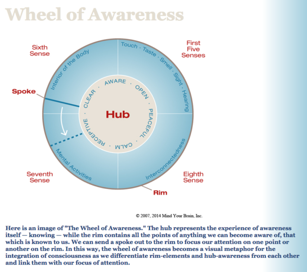 Wheel of Awareness - Matrix Works